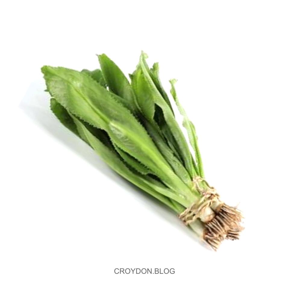 Fresh Saw Leaves/Thai Parsley – CROYDON